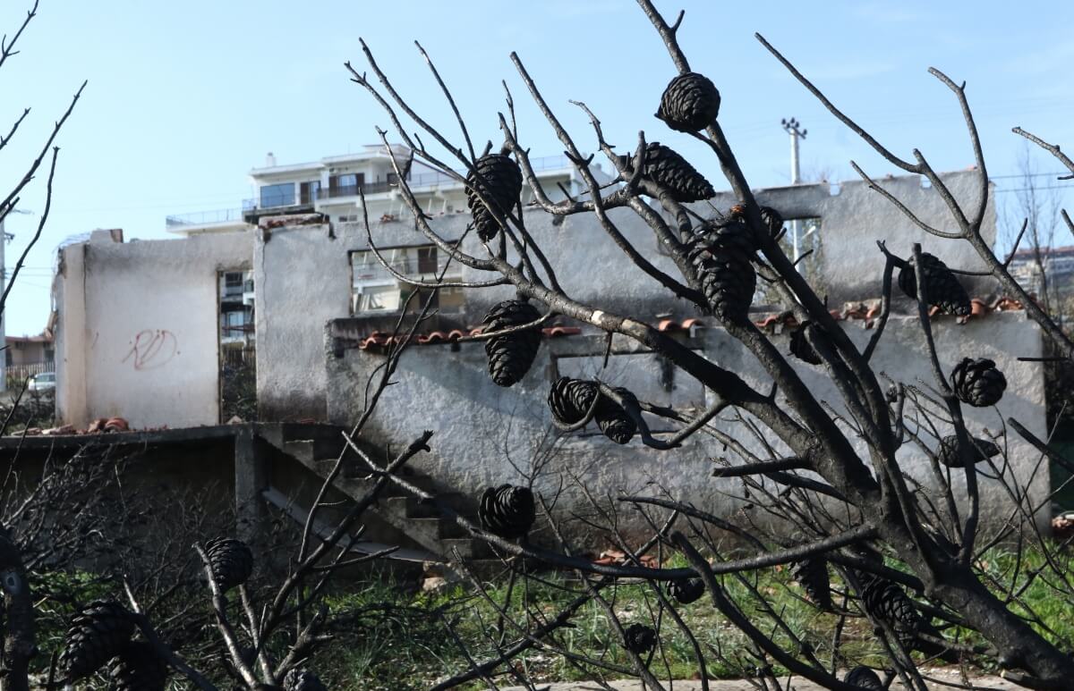 Δίκη για πυρκαγιά στο Μάτι: Διακοπή λόγω ακαταλληλότητας της αίθουσας ...